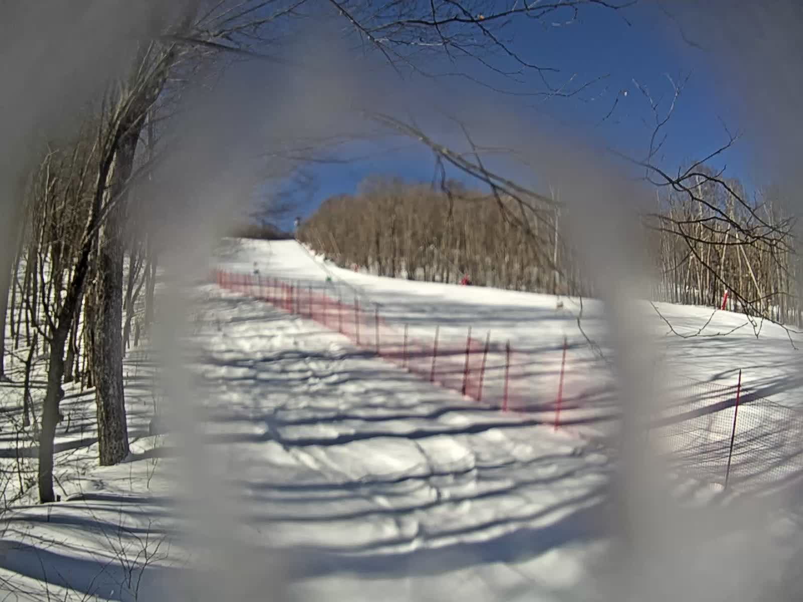 Okemo Mountain Webcams – OMARA